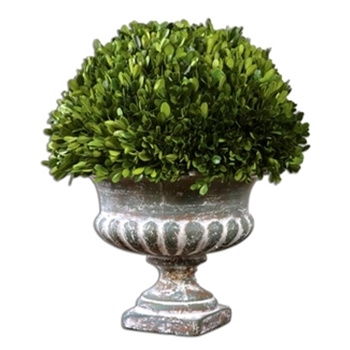 Botanicals at Chintz & Company